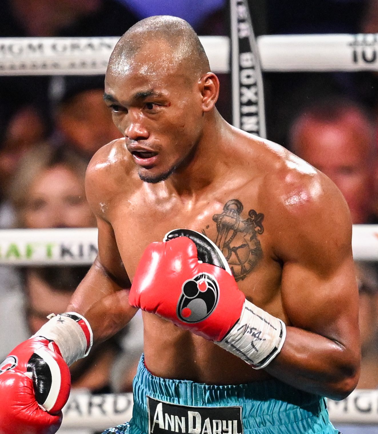 Alberto Puello | The Ring Profile – Stats & Record