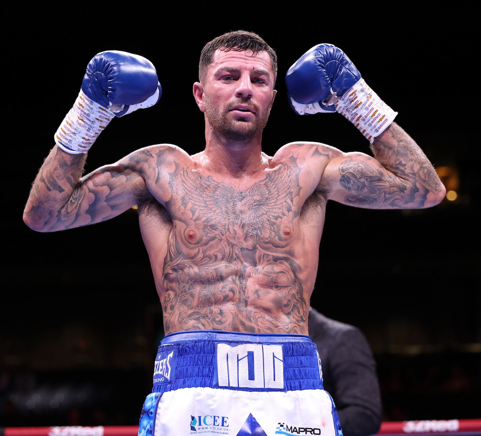 Mark Chamberlain | The Ring Profile – Stats & Record