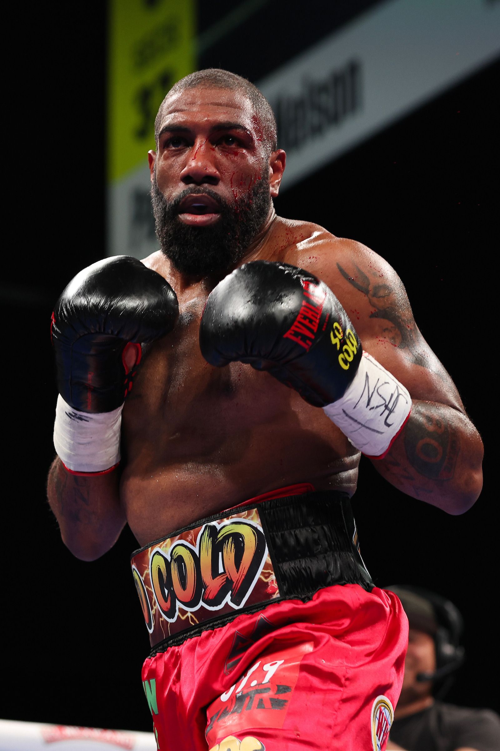 Steven Nelson | The Ring Profile – Stats & Record