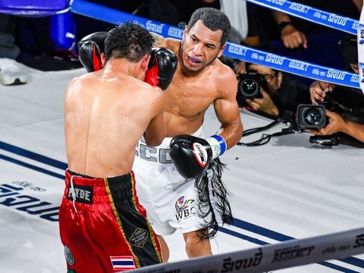 The Ring Ratings Review: Junior fly, as Canizales rules